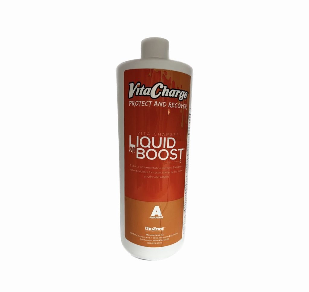 VITA CHARGE LIQUID BOOST 32 OZ - Hawthorne Country Store